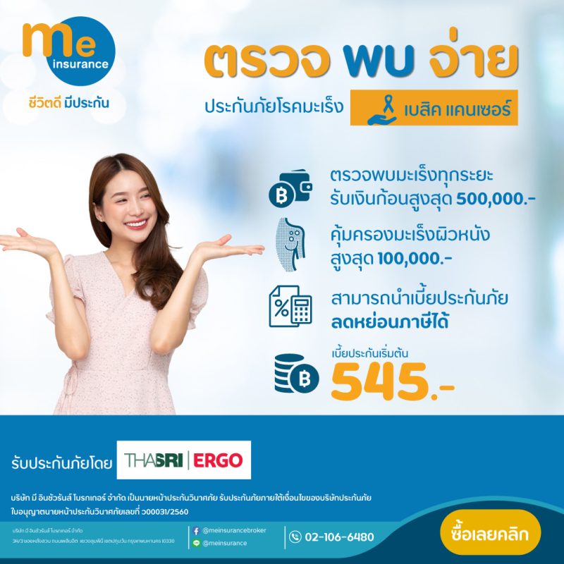 เกี่ยวกับบริษัท - meinsurance